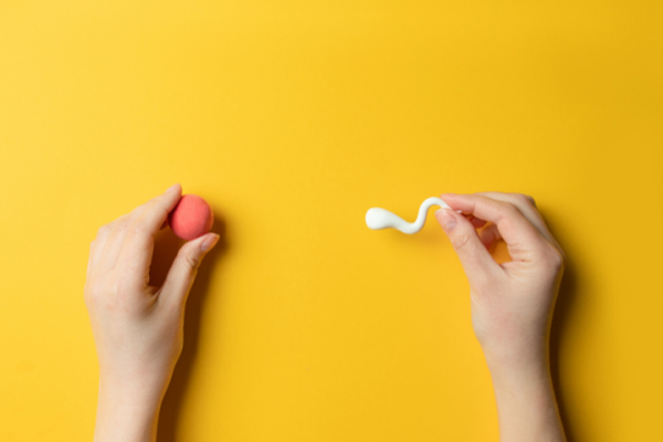 IVF fun facts and promising statistics! - Bonzun IVF